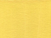 Yellow & Orange – Vasari Classic Artists' Oil Colors